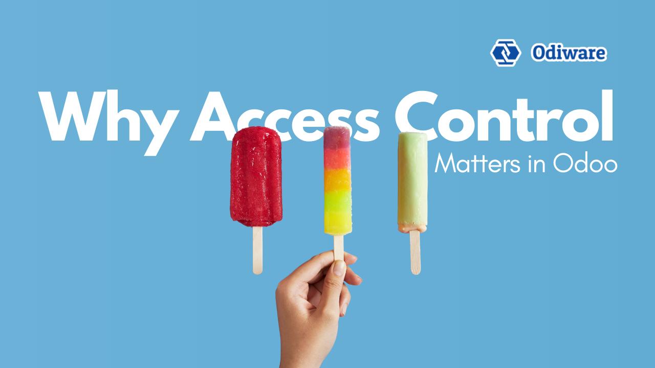 How to Control Access Permissions for New Modules in Odoo - Odiware ...